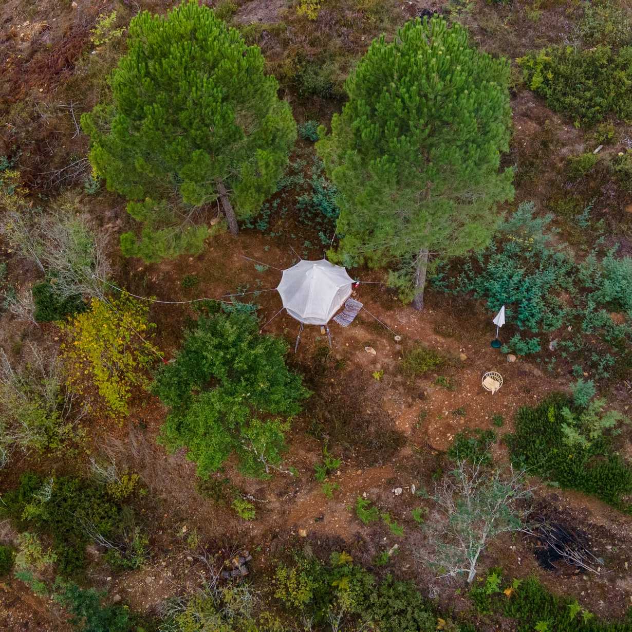 Ayahuasca, a Journey of a Lifetime | robertistok